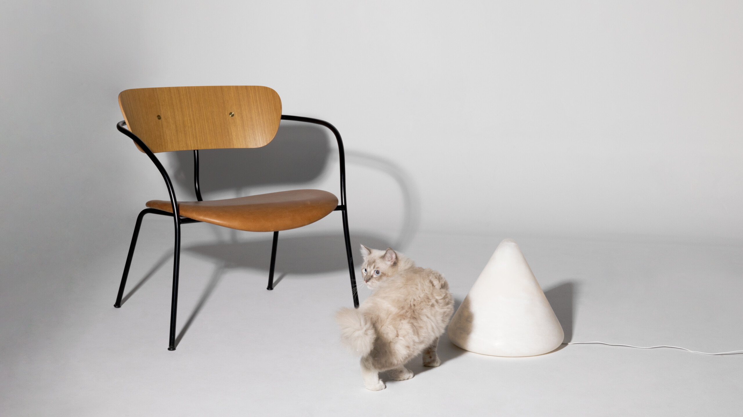 Jelly Lamp – Femo Design Studio