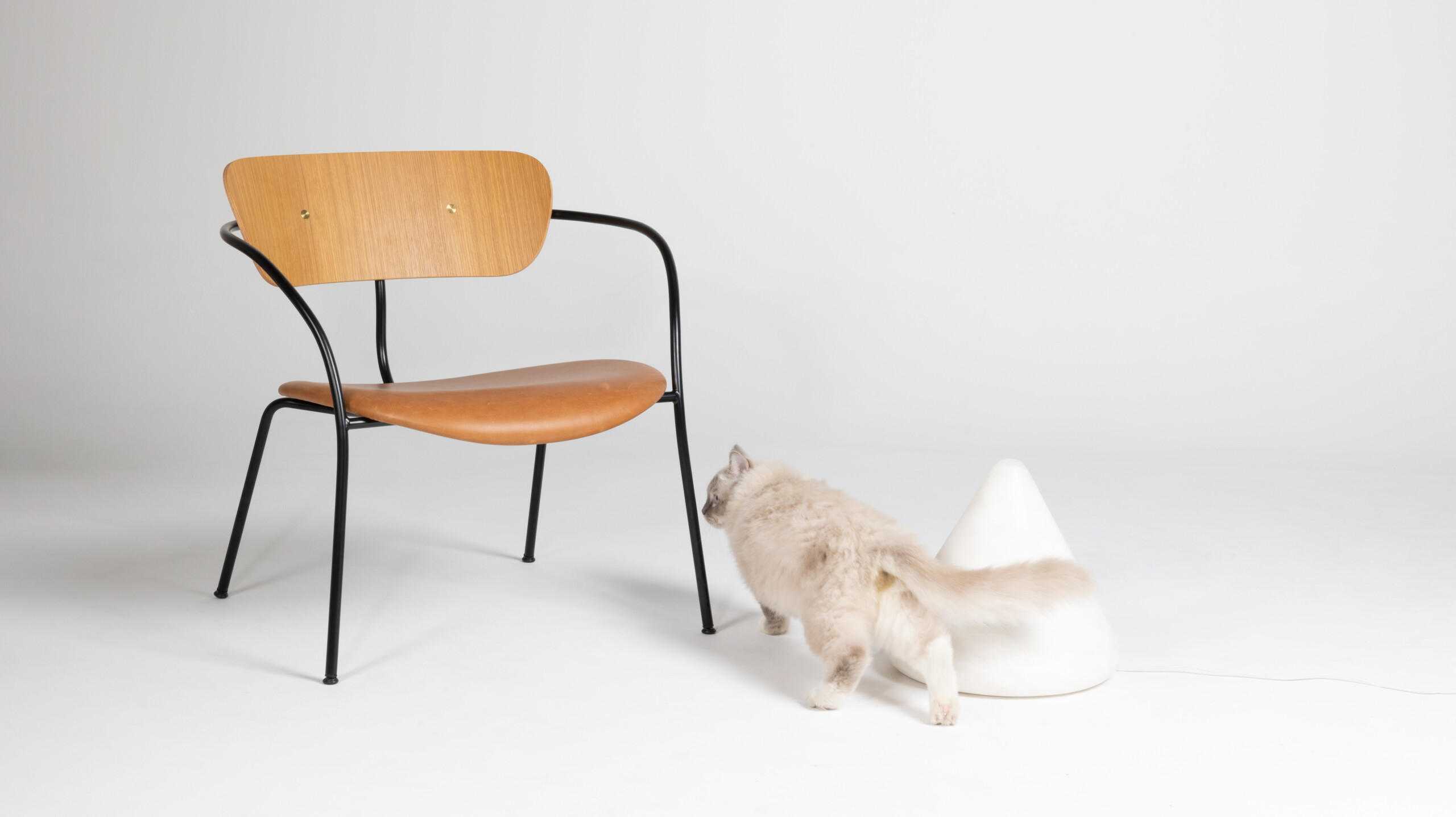Jelly Lamp – Femo Design Studio